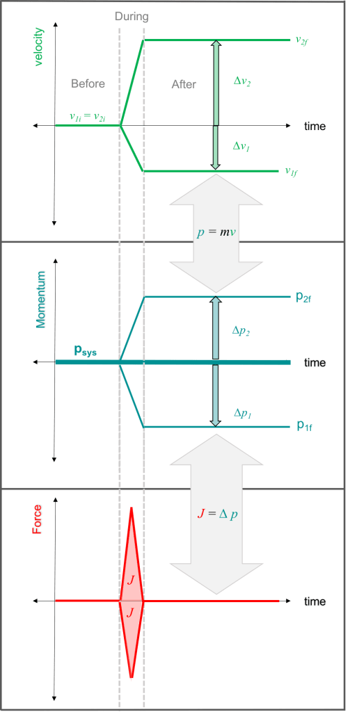 Momentum Stacked Graphs – Teach. Brian. Teach.